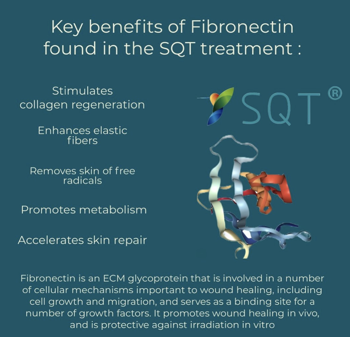 Fibronectin in Skincare - SQT
